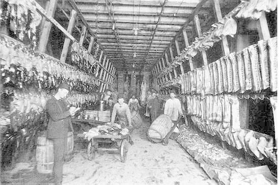 Meat In The Progressive Era