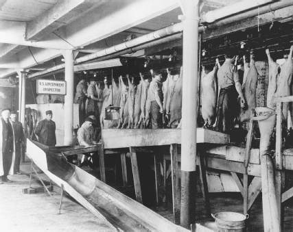 Meat In The Progressive Era