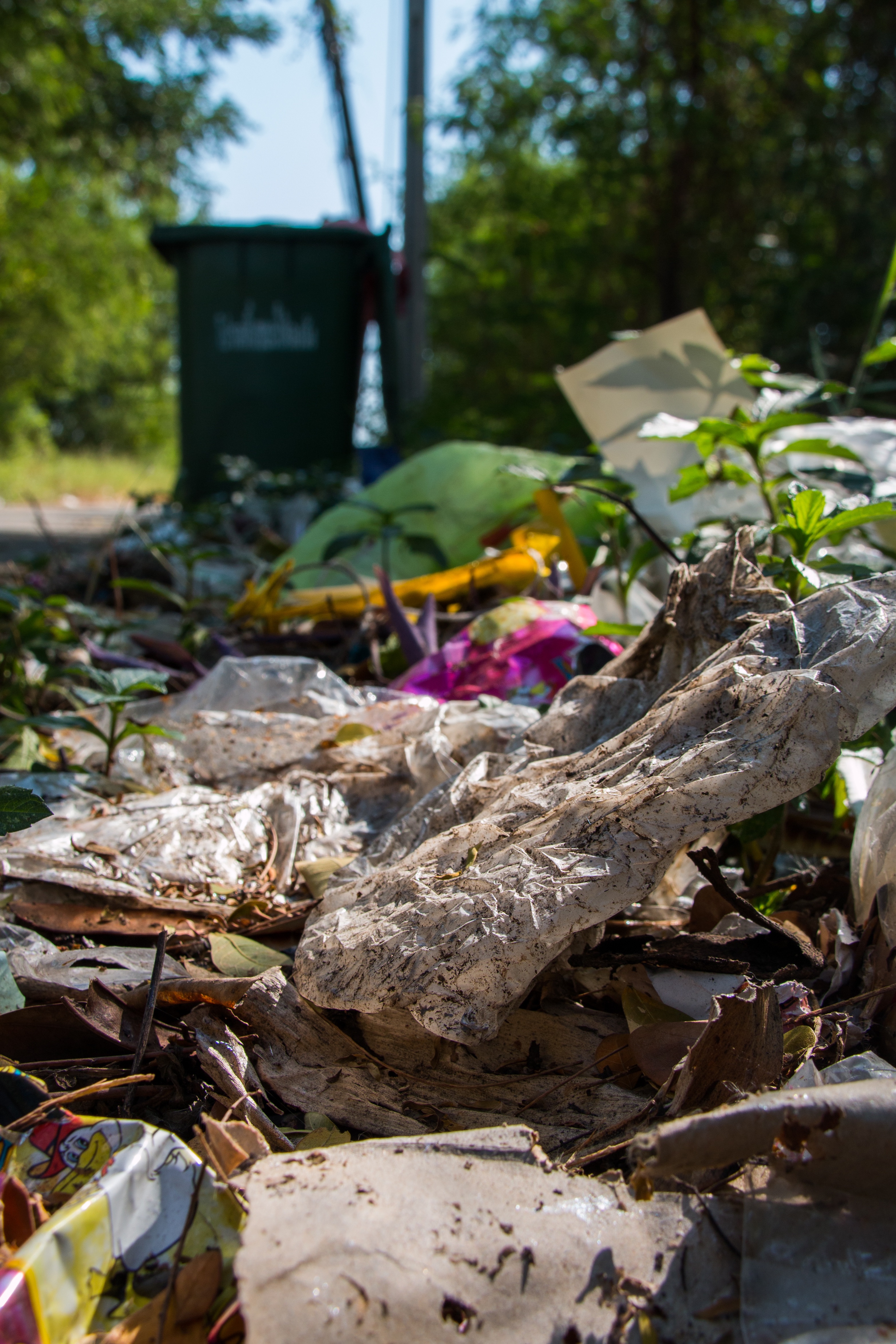 Poor Waste Management & Excessive Garbage