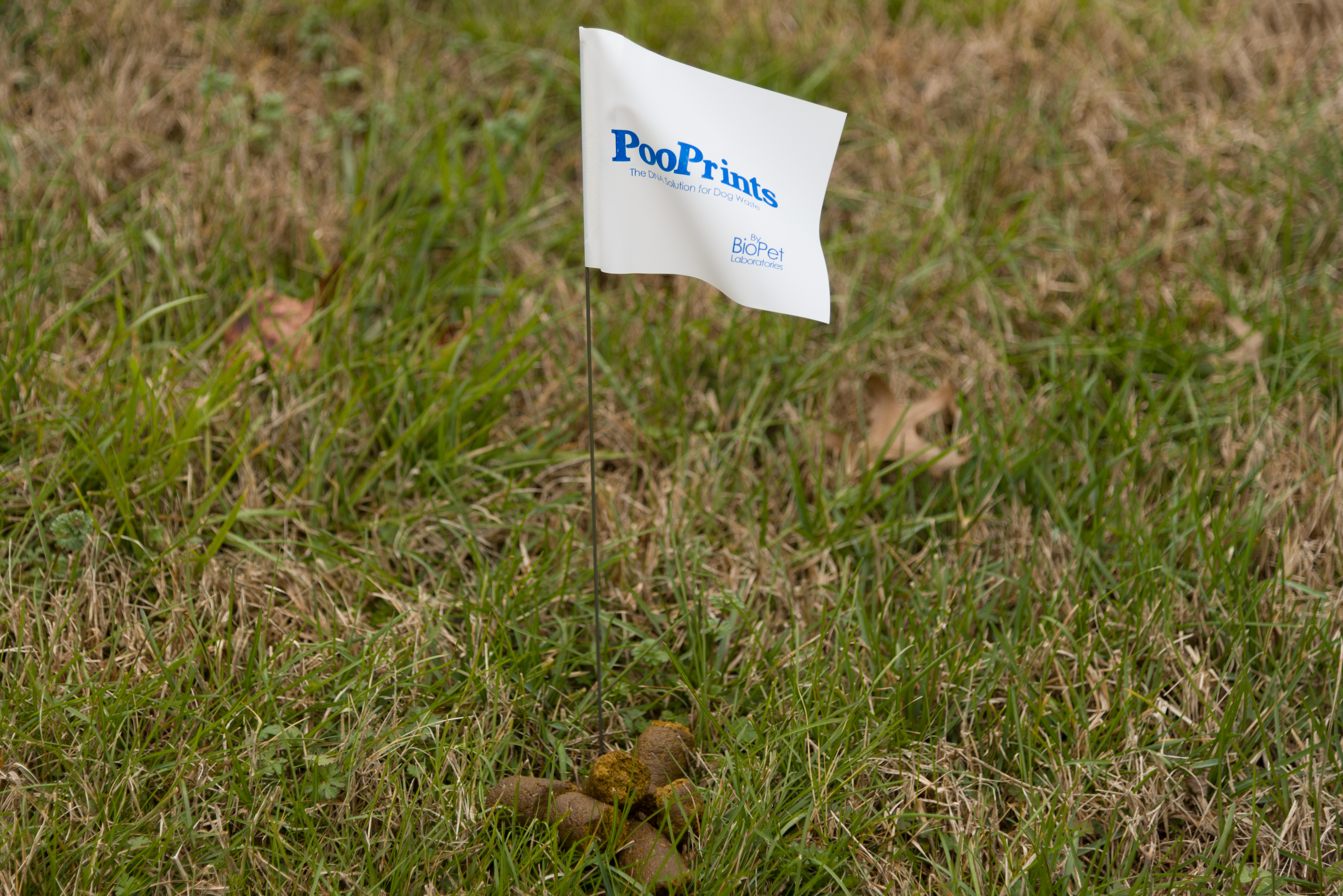 PooPrints Digital Press Kit