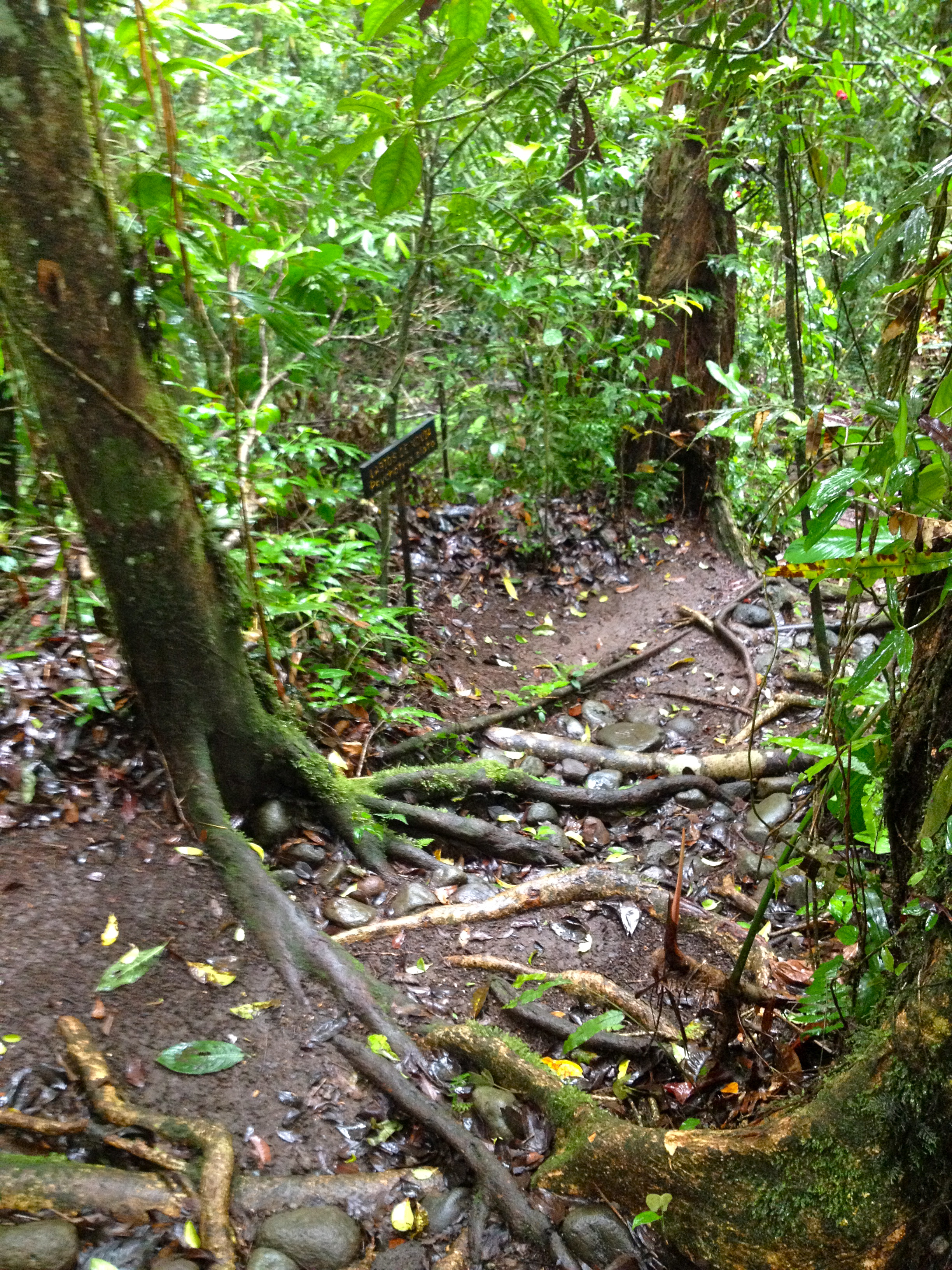 Limon Province, Costa Rica