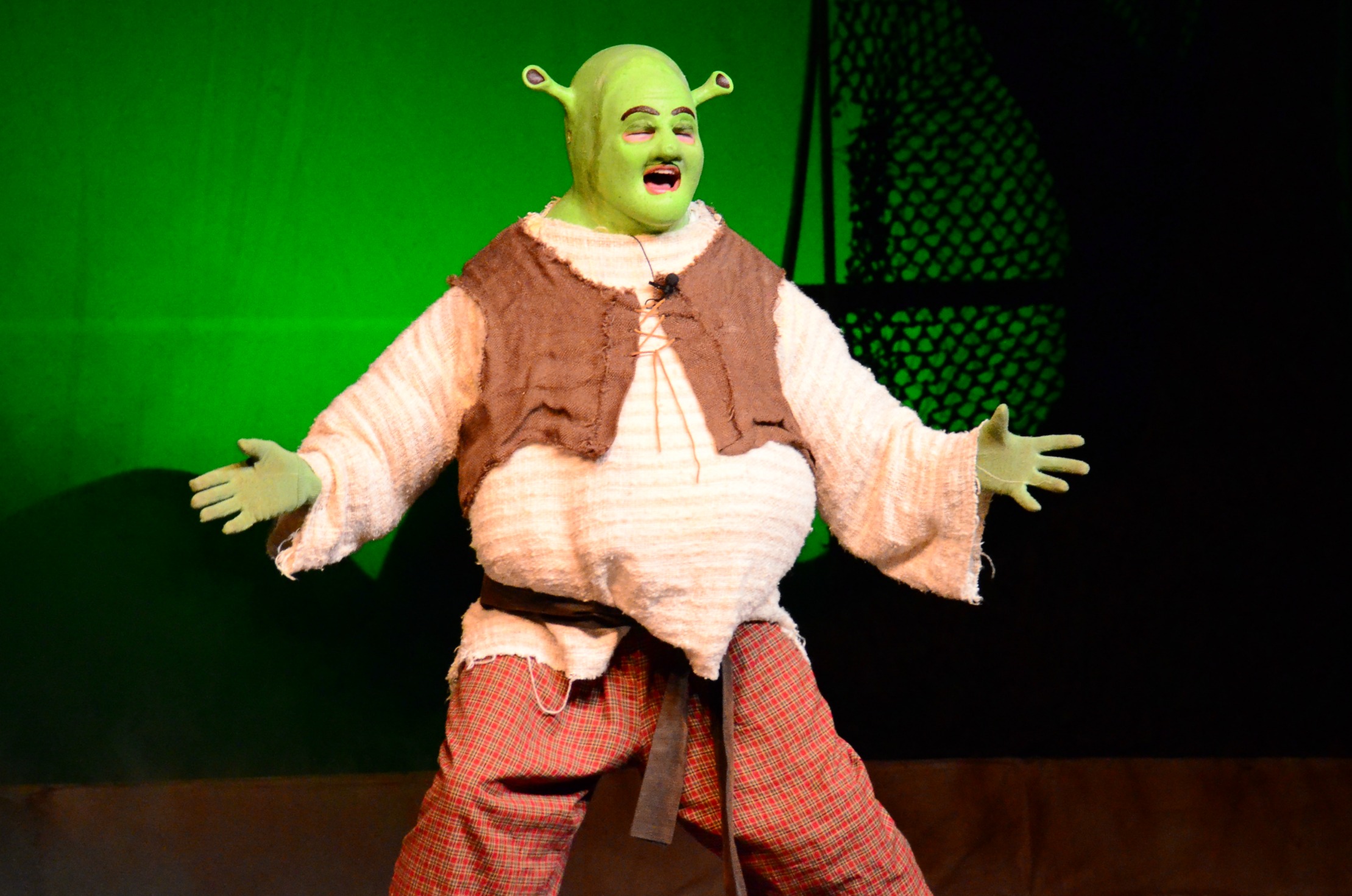 Shrek: The Ogre Behind The Layers