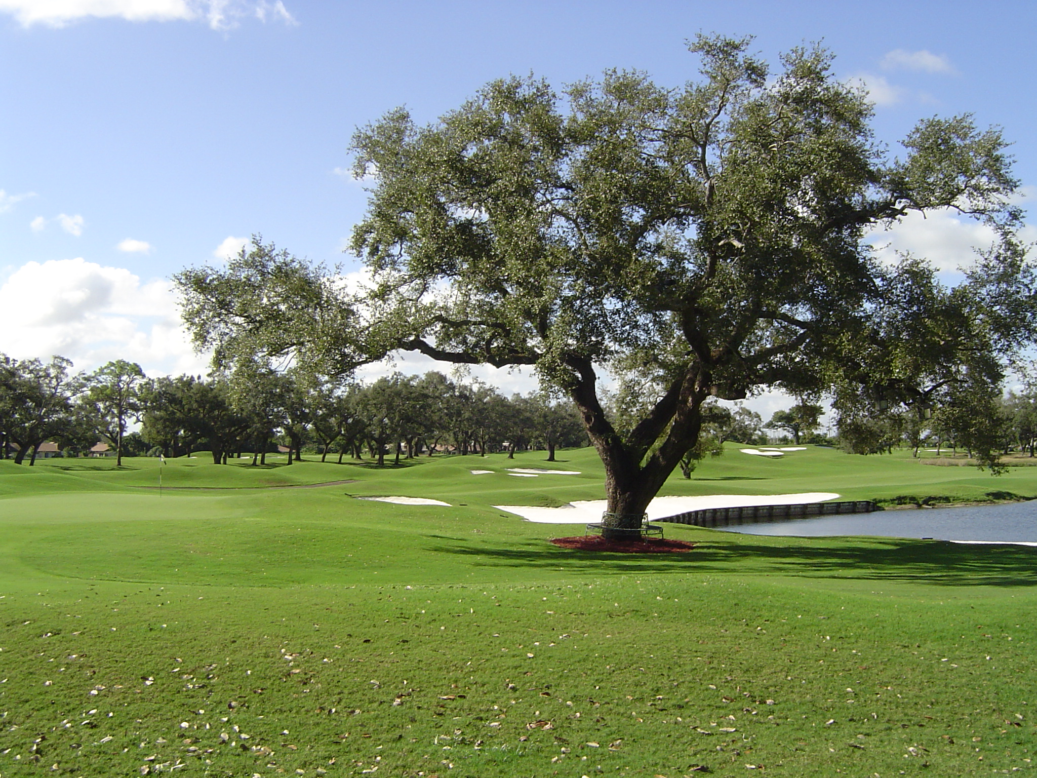 NSU Women's Golf