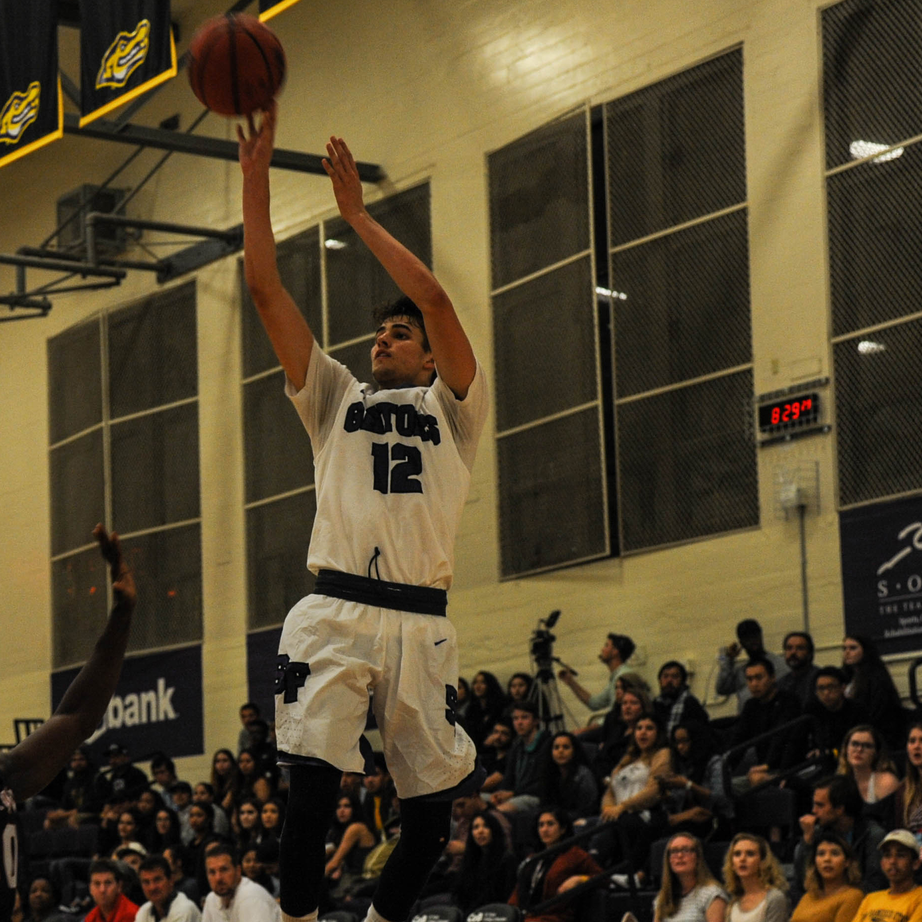 San Francisco State Gators