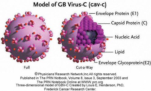 GB Virus Type C