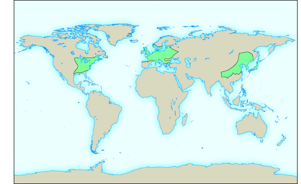 The Deciduous Forest