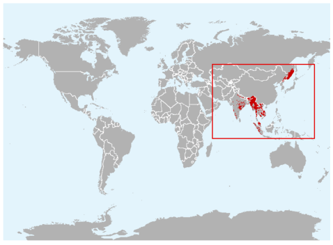 Bengal tiger Endangered