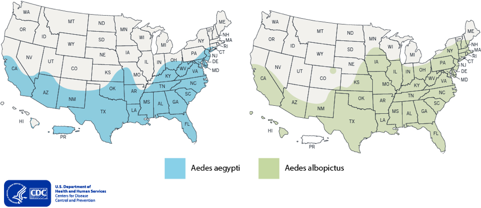 A Primer on the Zika Virus for Providers