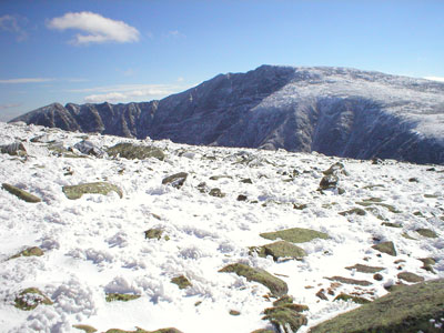 alpine tundra examples