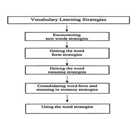 Classifications of Vocabulary Learning Strategies