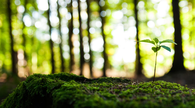 How to heal the world