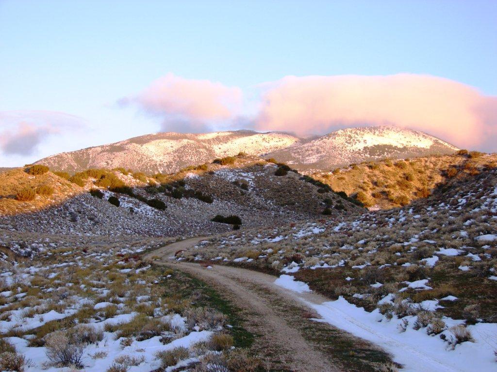 Tejon Ranch conservancy