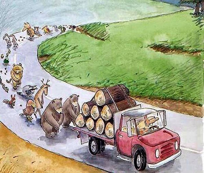 Direct alteration of ecosystems