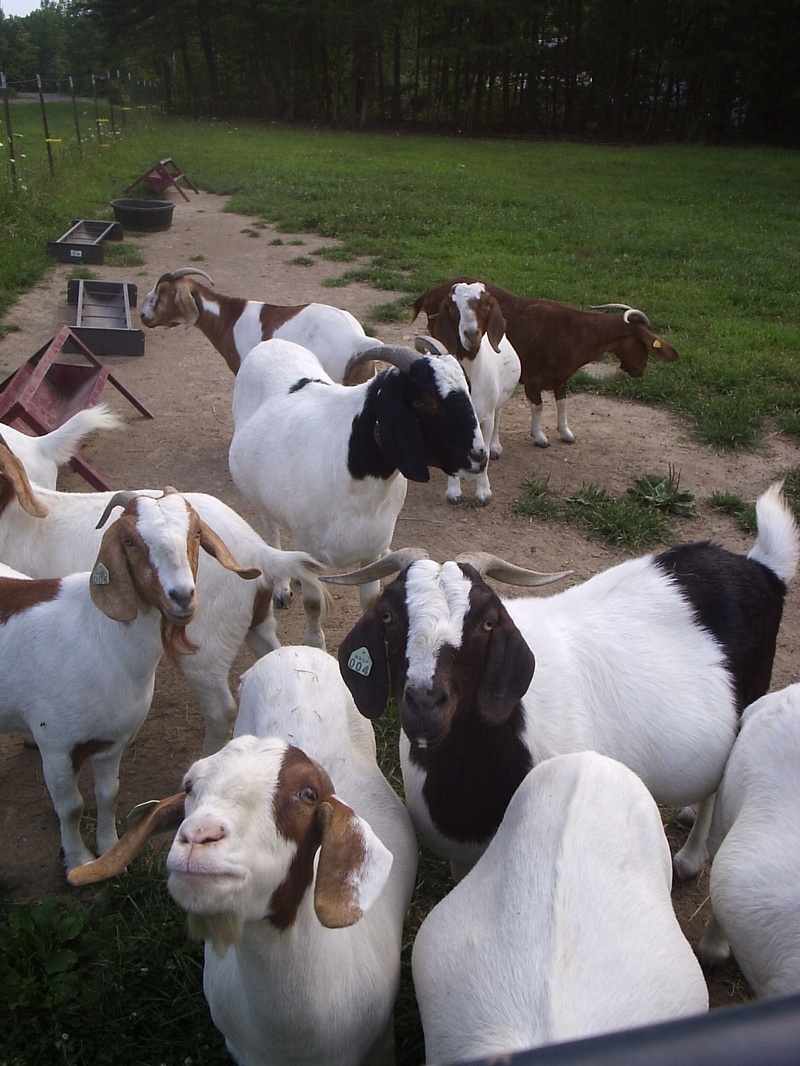 Farming