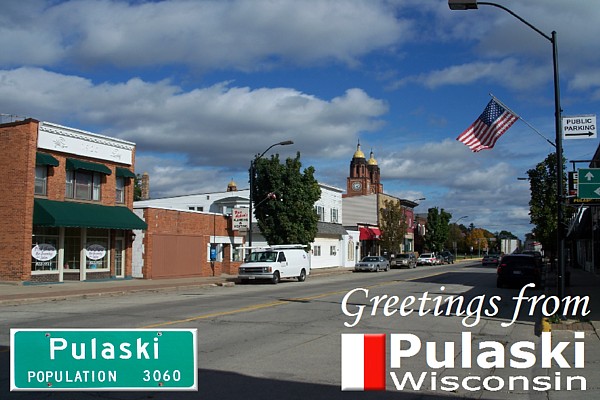 Local Government of Pulaski