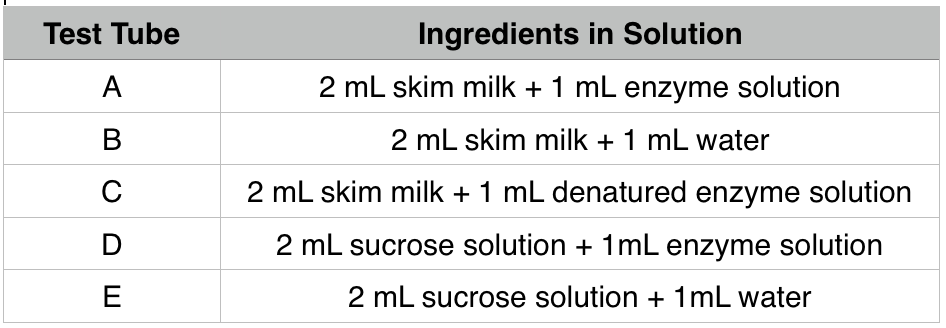 Lactase Enzyme Lab