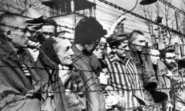 Survival of the Holocaust