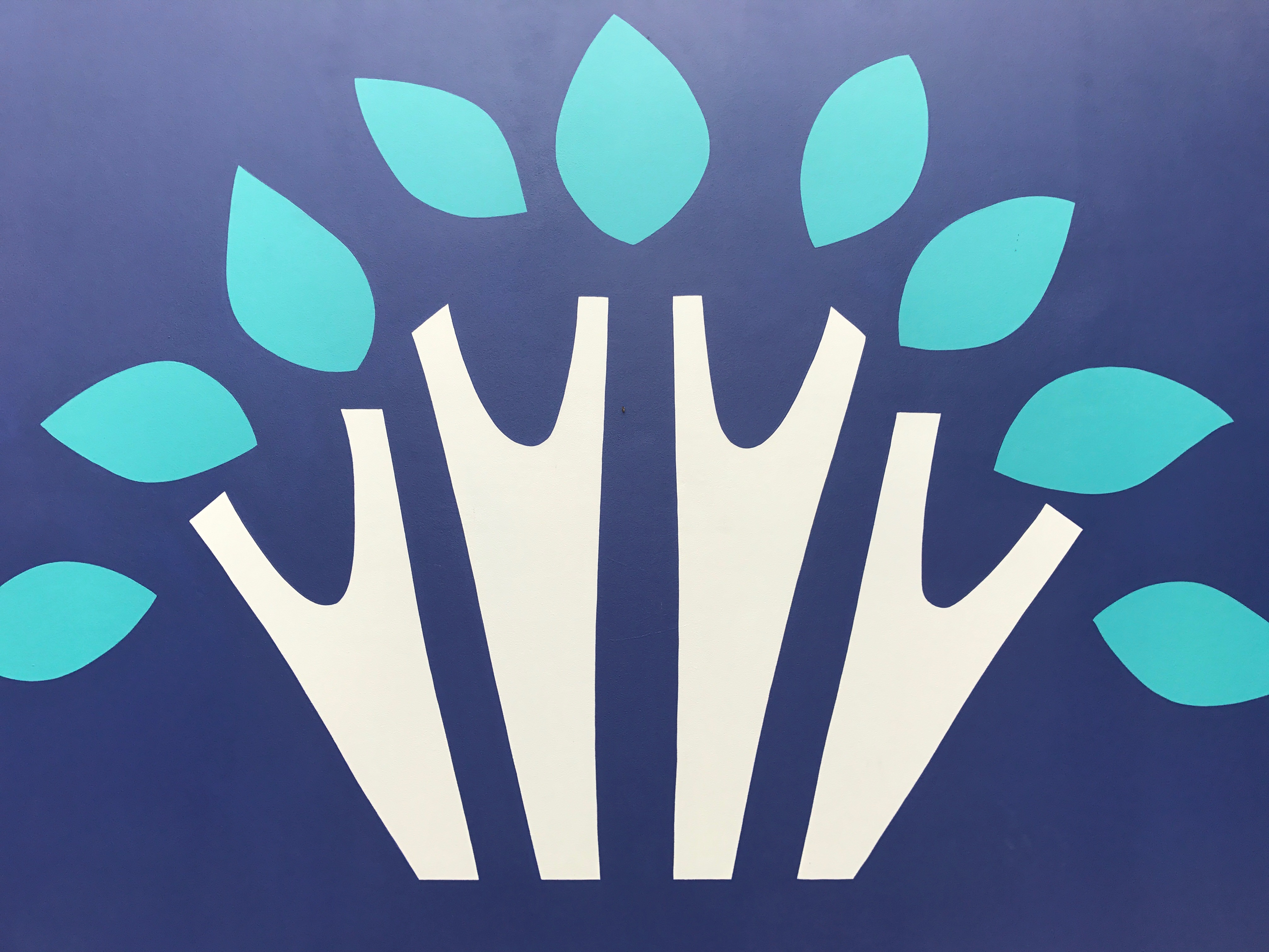 School Excellence Framework