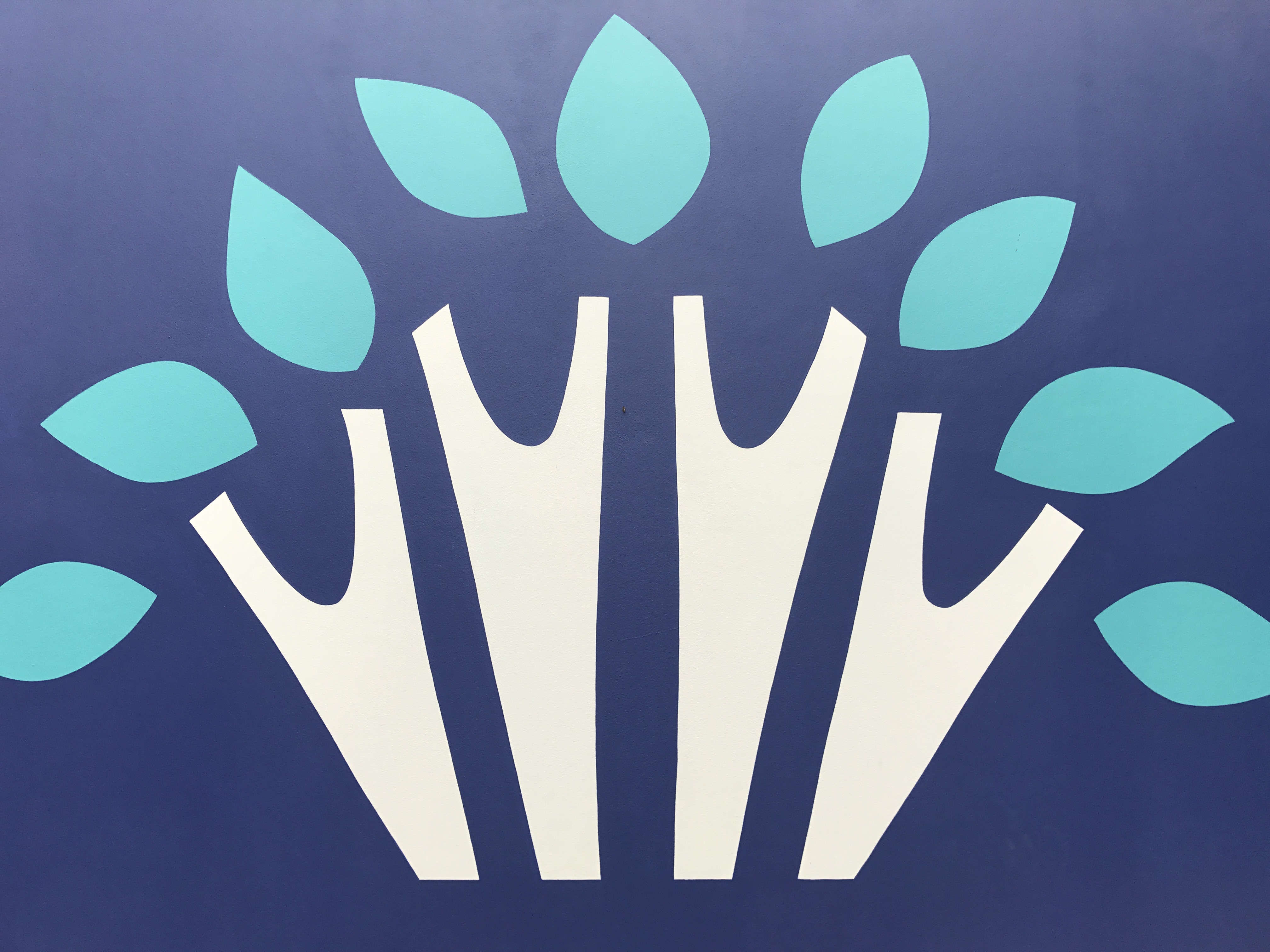 School Excellence Framework