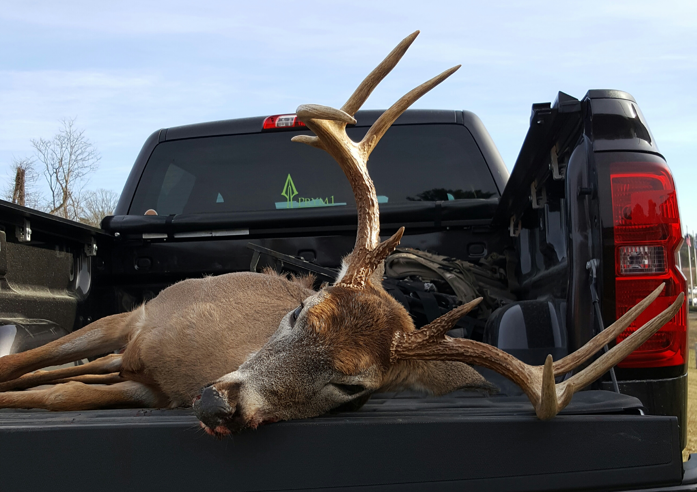 Deer Hunting Marine Corps Base Quantico