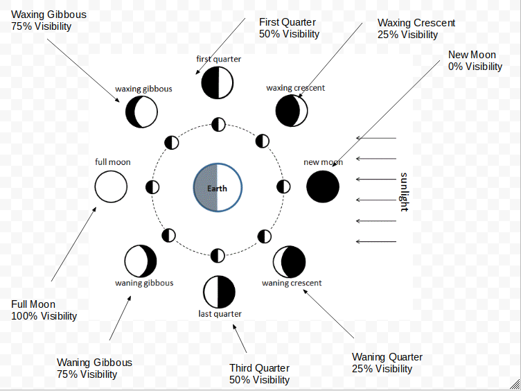 The Moon Phases